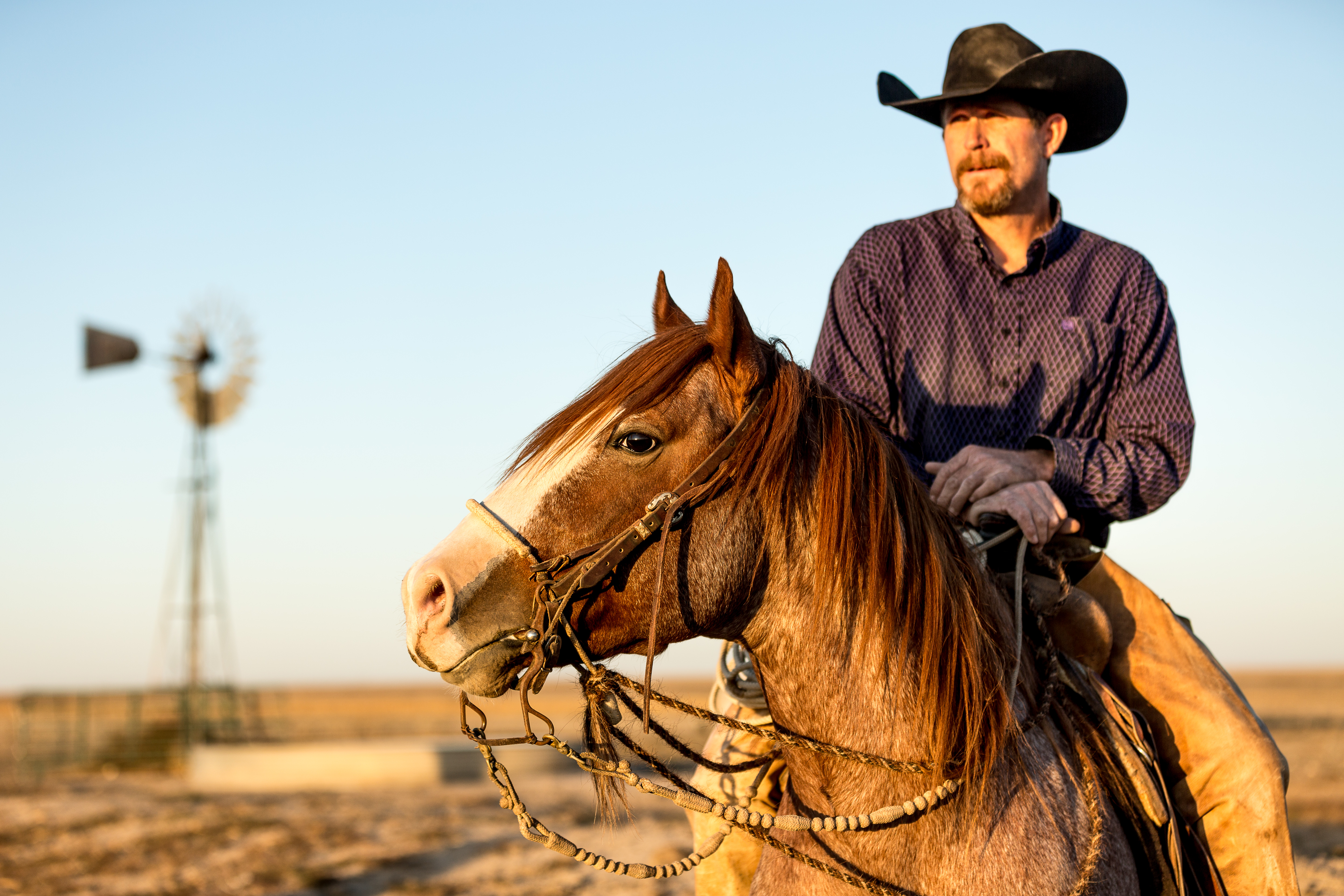 Wild West Rag Co - The South Dakota Cowgirl